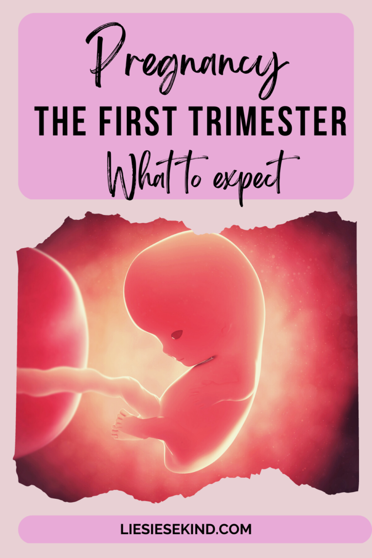 Pregnancy - The First Trimester