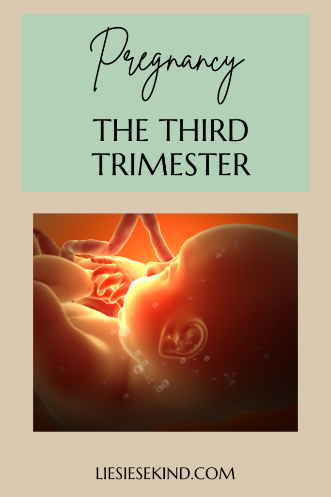 Pregnancy The Third Trimester Liesie Se Kind