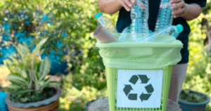 Green Cleaning: Promoting Health And Sustainability - Liesie Se Kind